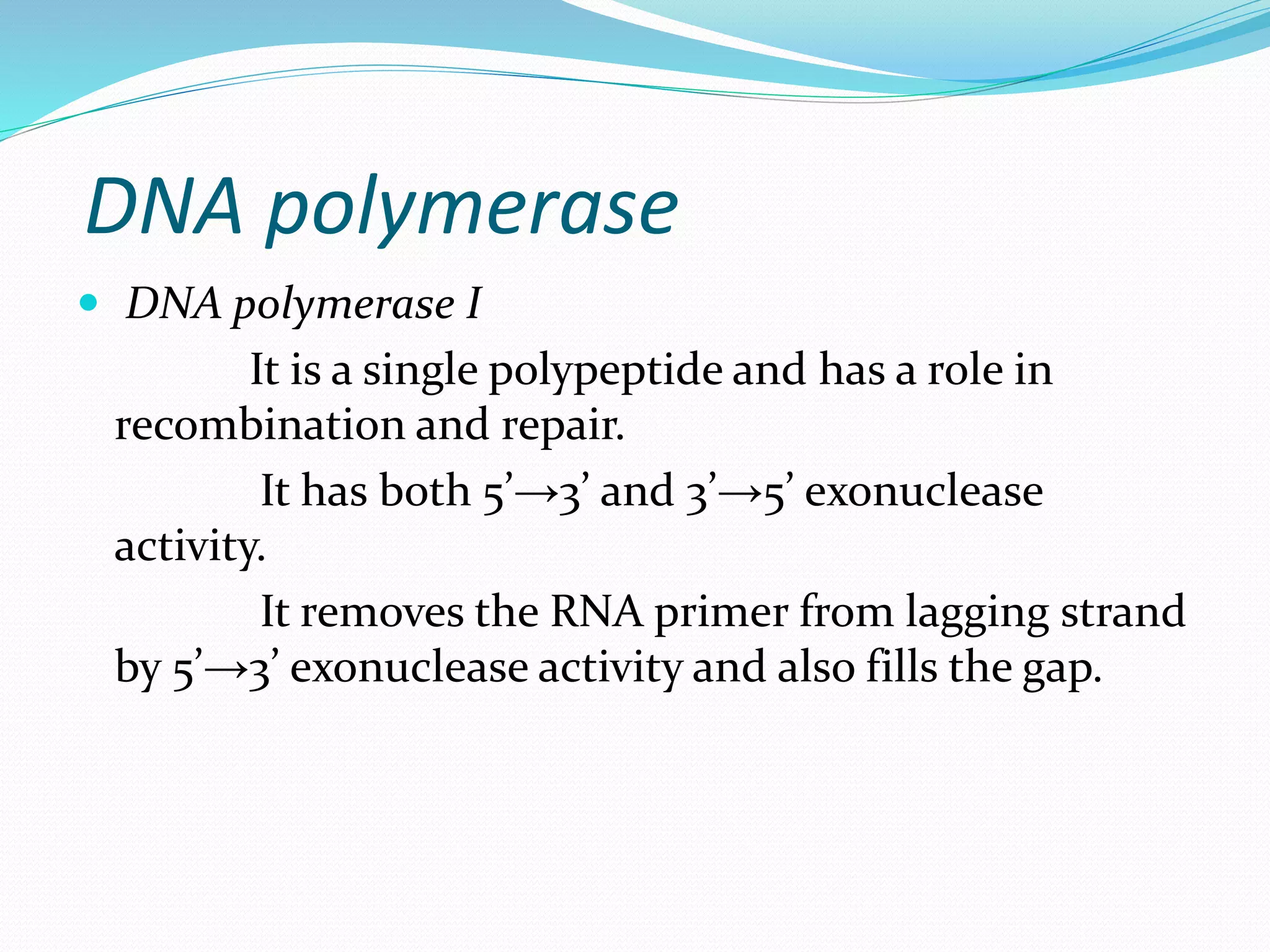 DNA Polymerase.pptx
