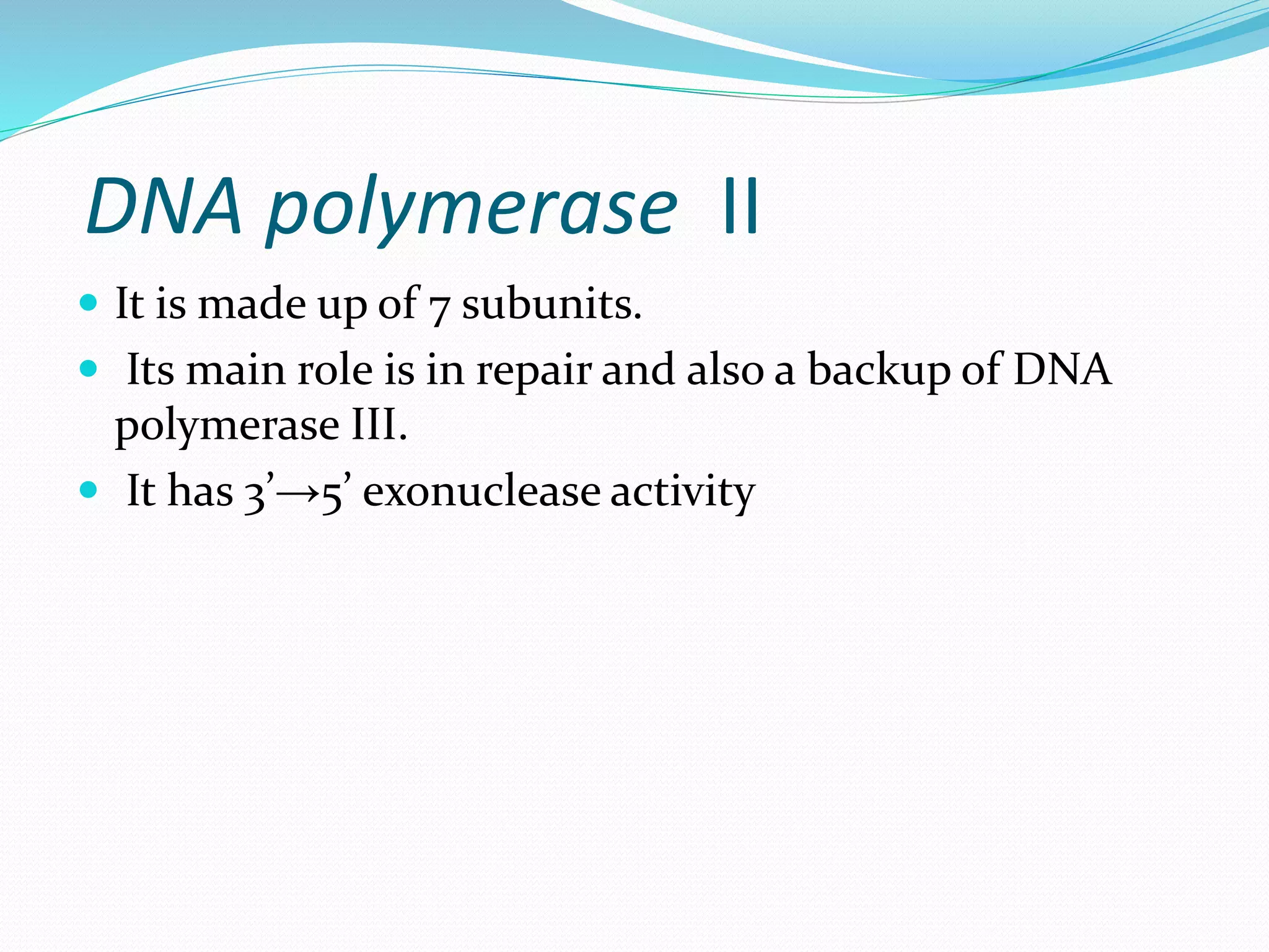 DNA Polymerase.pptx