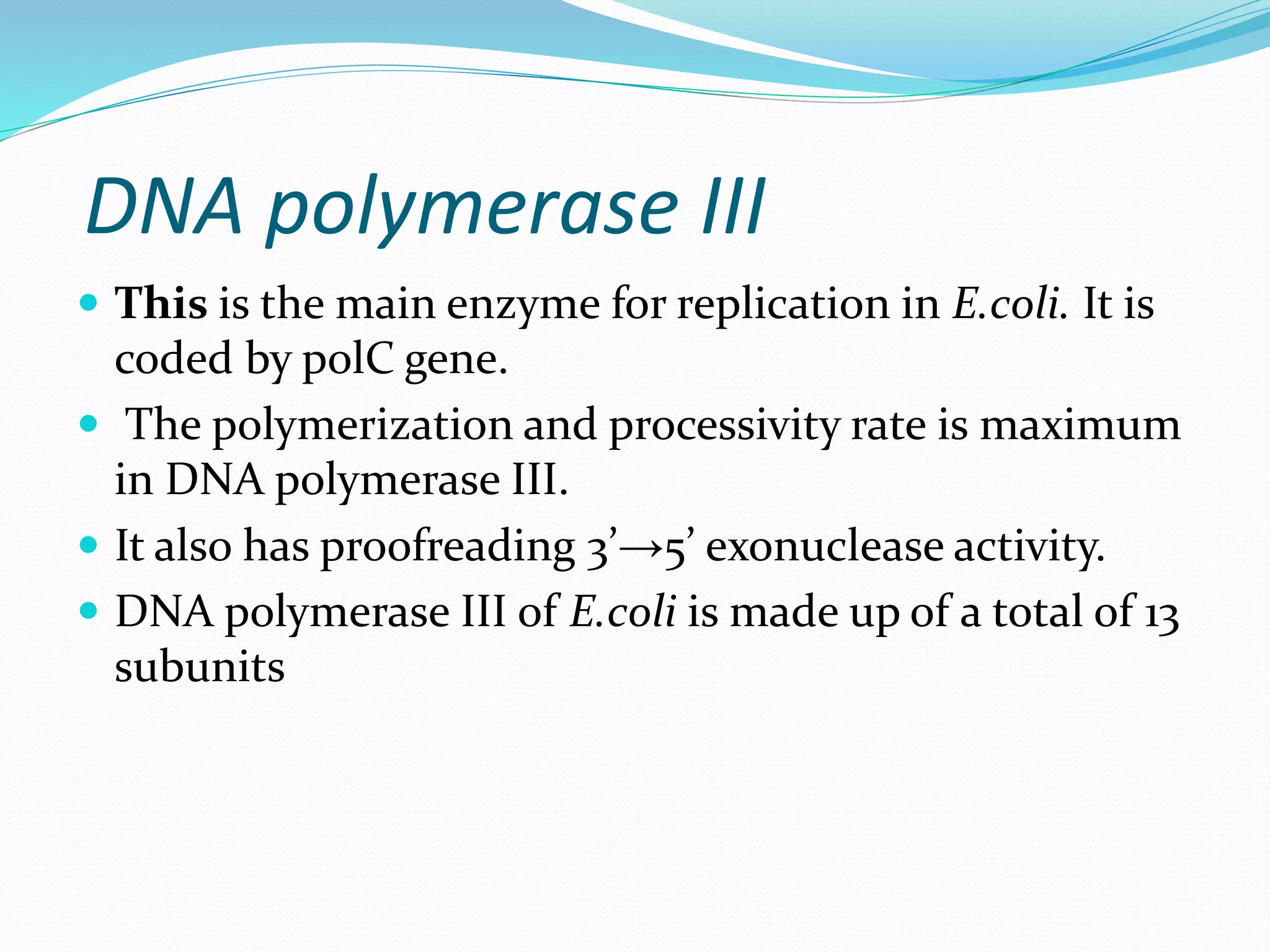 DNA Polymerase.pptx