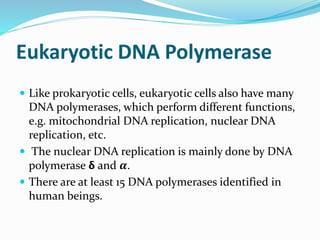 DNA Polymerase.pptx