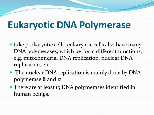 DNA Polymerase.pptx | Biological Sciences | Science