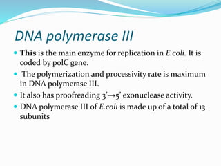 DNA Polymerase.pptx
