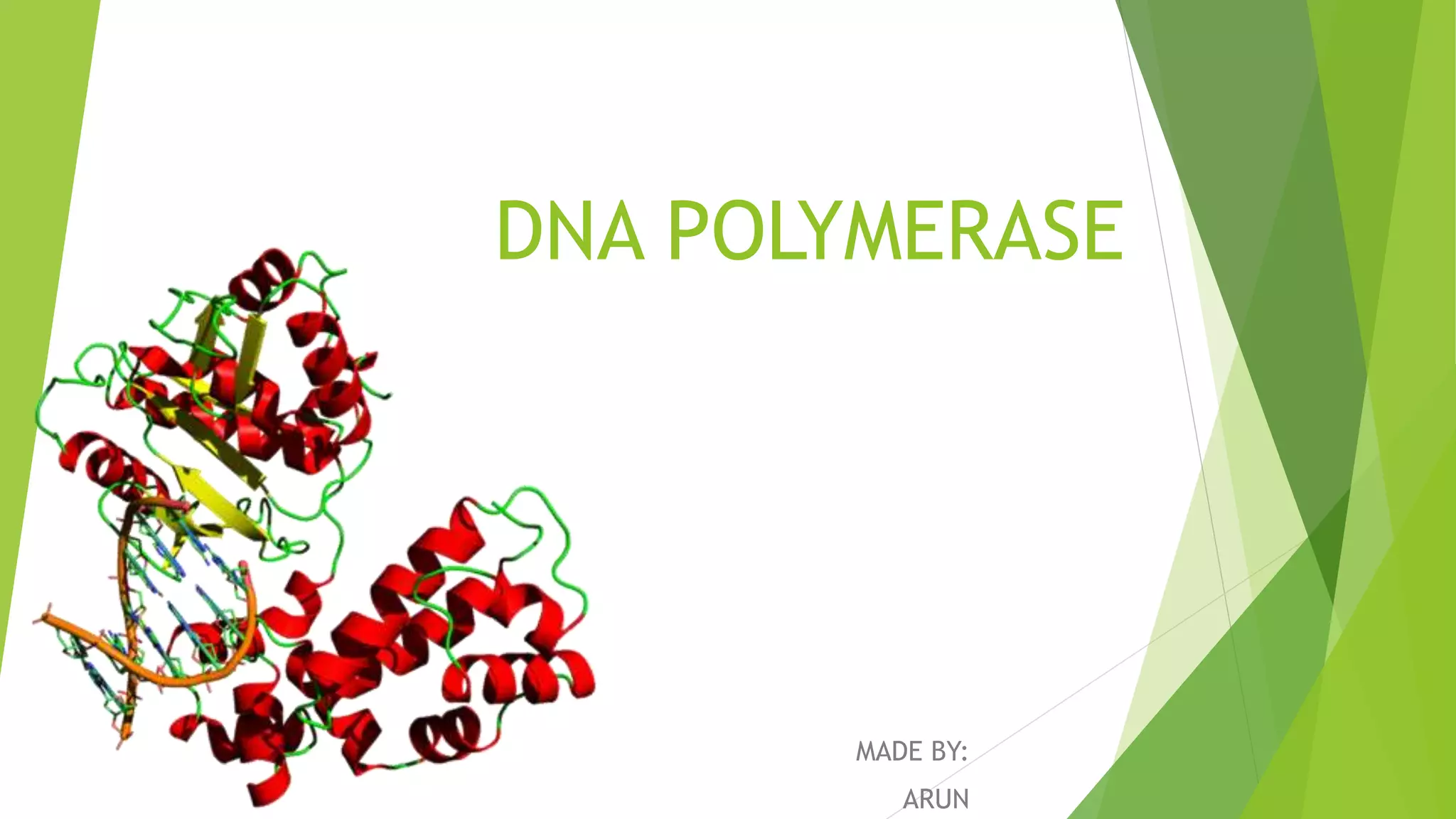 Dna polymerase biology arun | PPTX