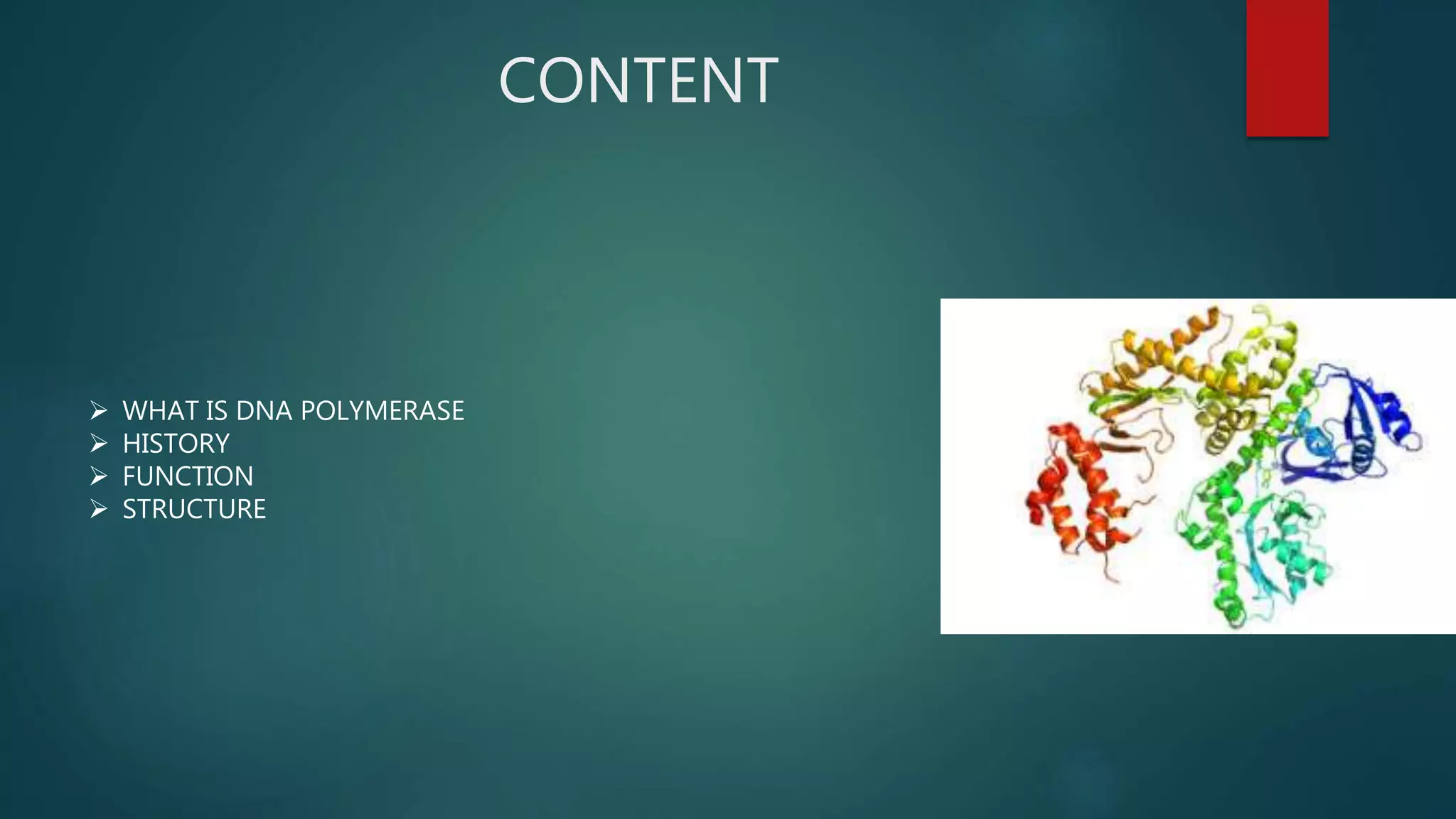 Dna polymerase biology arun | PPTX