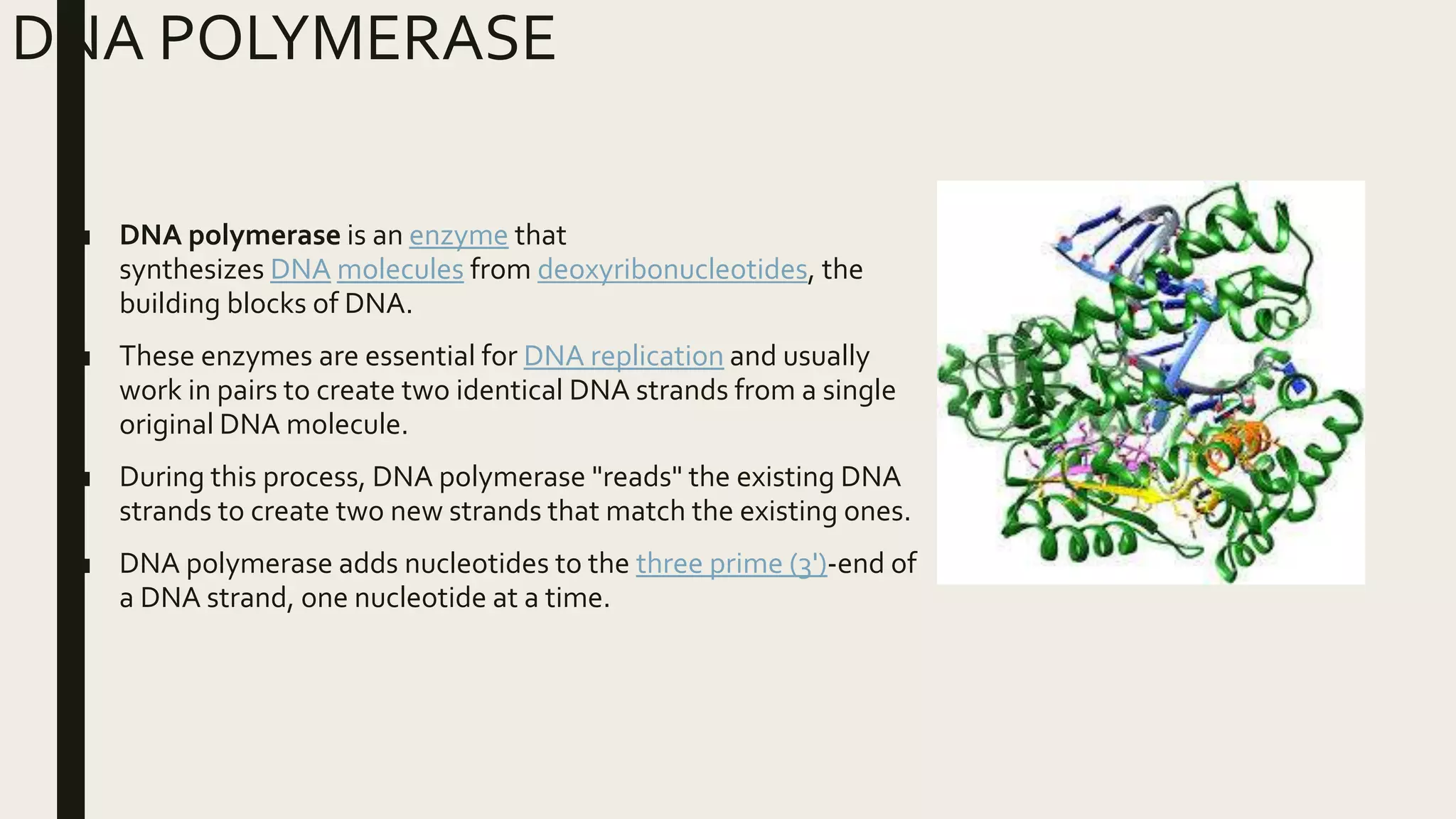 Dna polymerase biology arun | PPTX