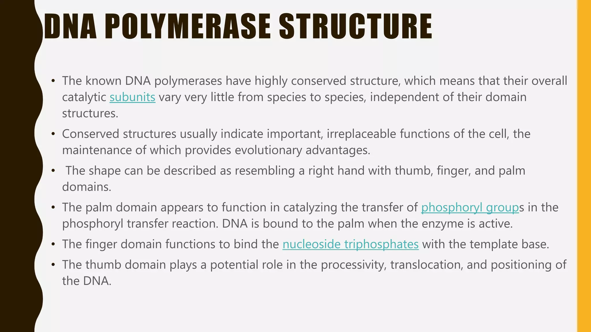 Dna polymerase biology arun | PPTX