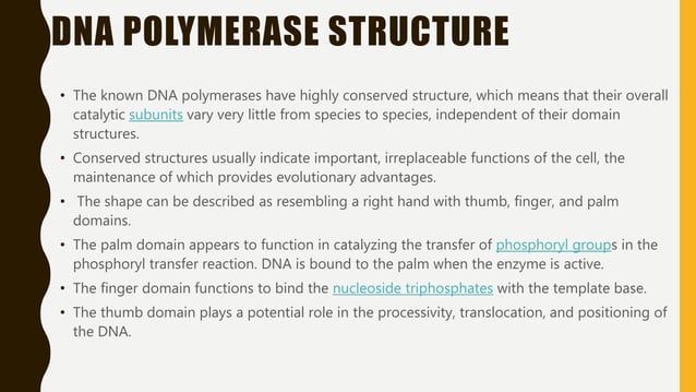 Dna polymerase biology arun | PPTX