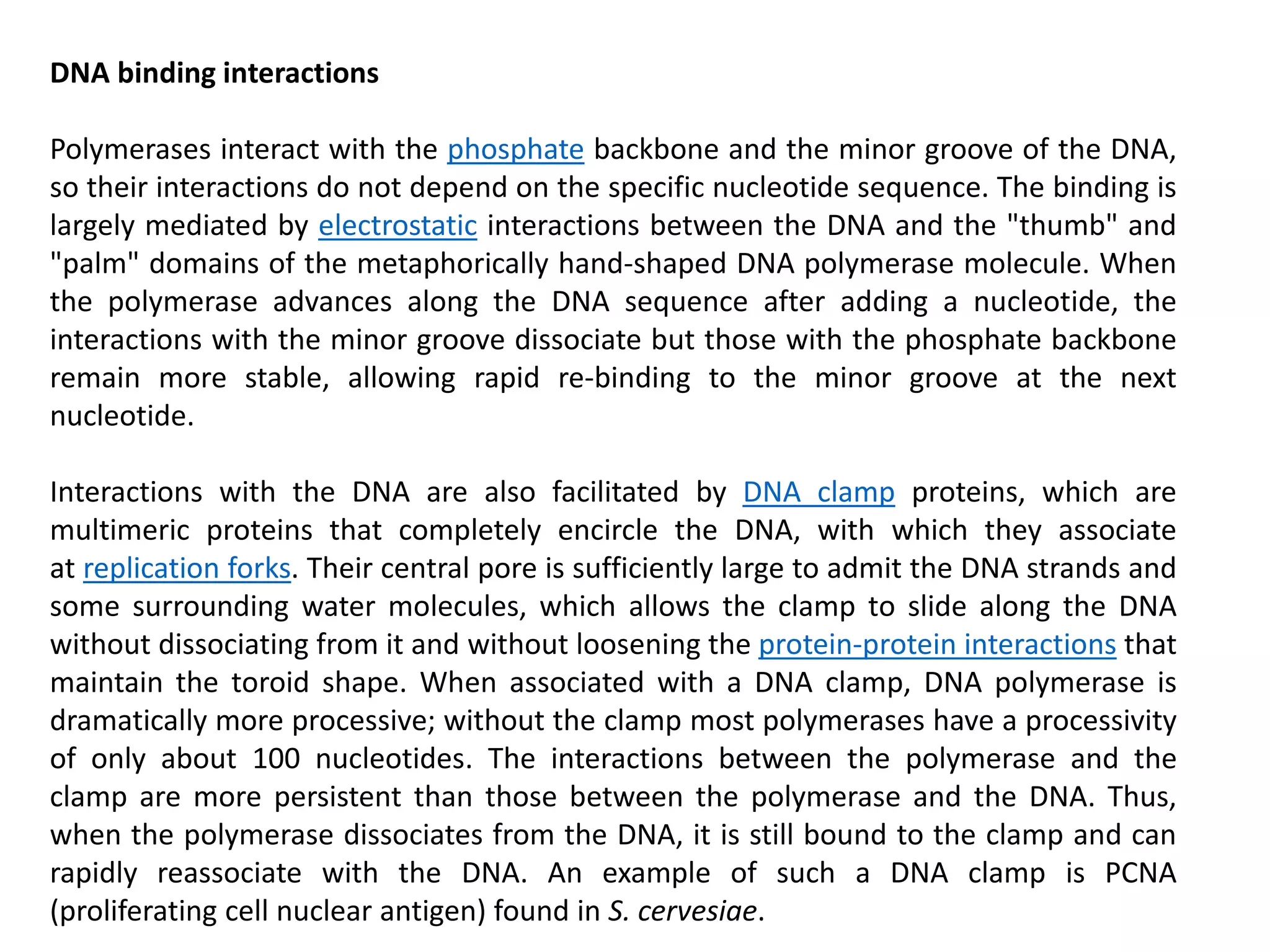 DNA polymerase proofreading and processivity.pptx