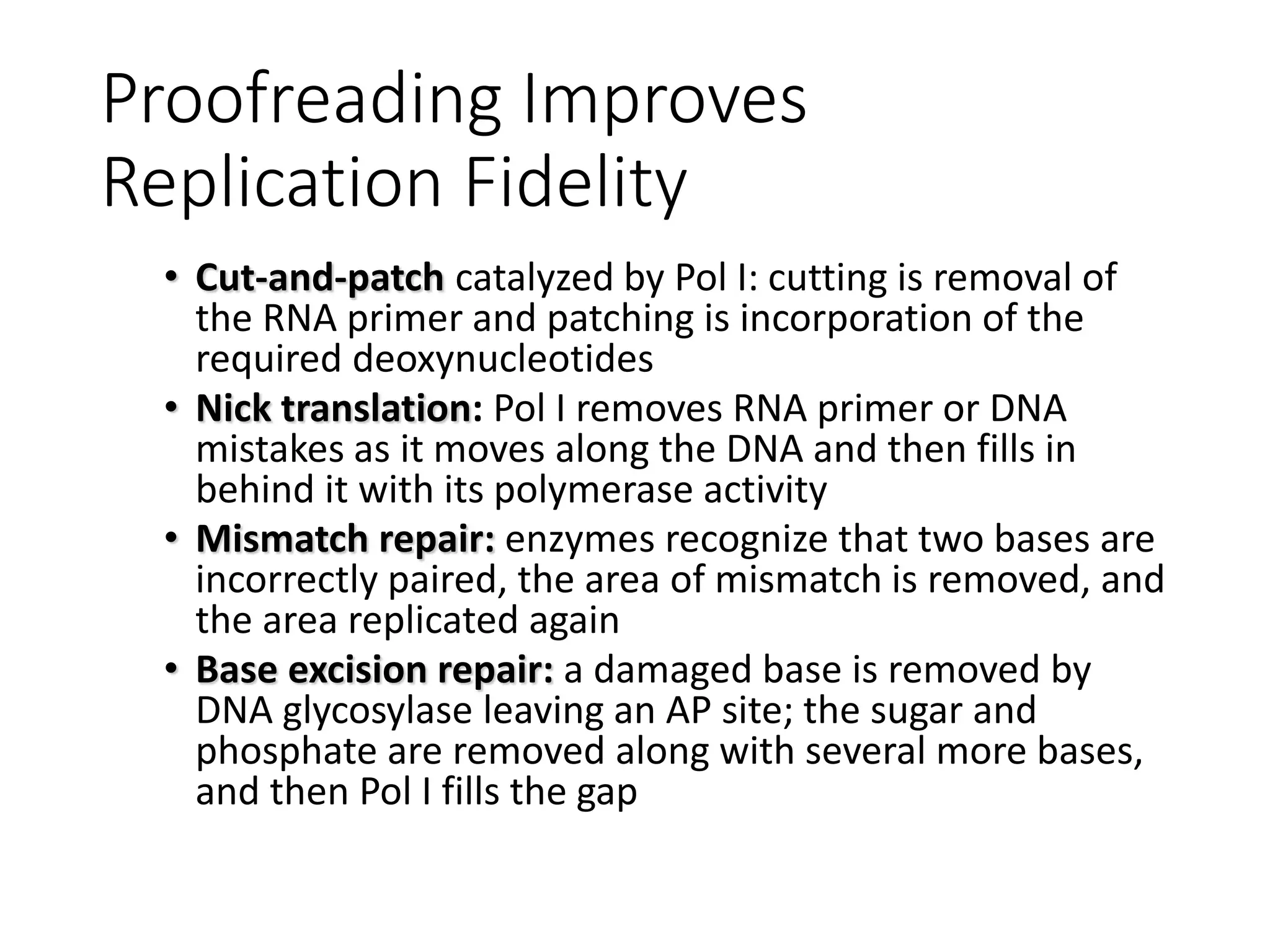 DNA polymerase proofreading and processivity.pptx