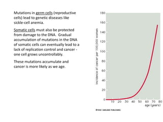 DNA polymerase proofreading and processivity.pptx