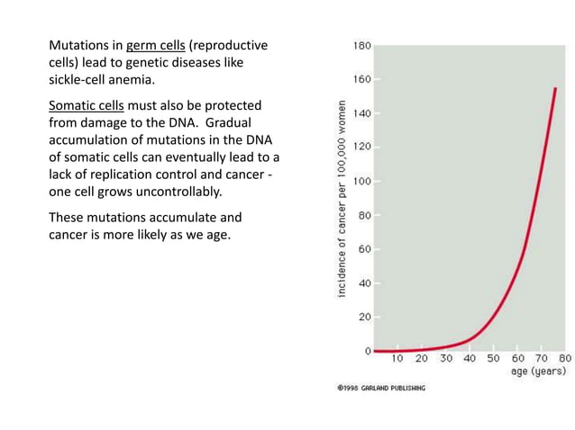 DNA polymerase proofreading and processivity.pptx | Biological Sciences ...