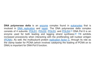 DNA polymerase proofreading and processivity.pptx