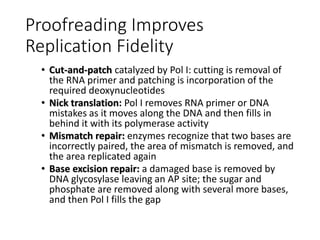 DNA polymerase proofreading and processivity.pptx