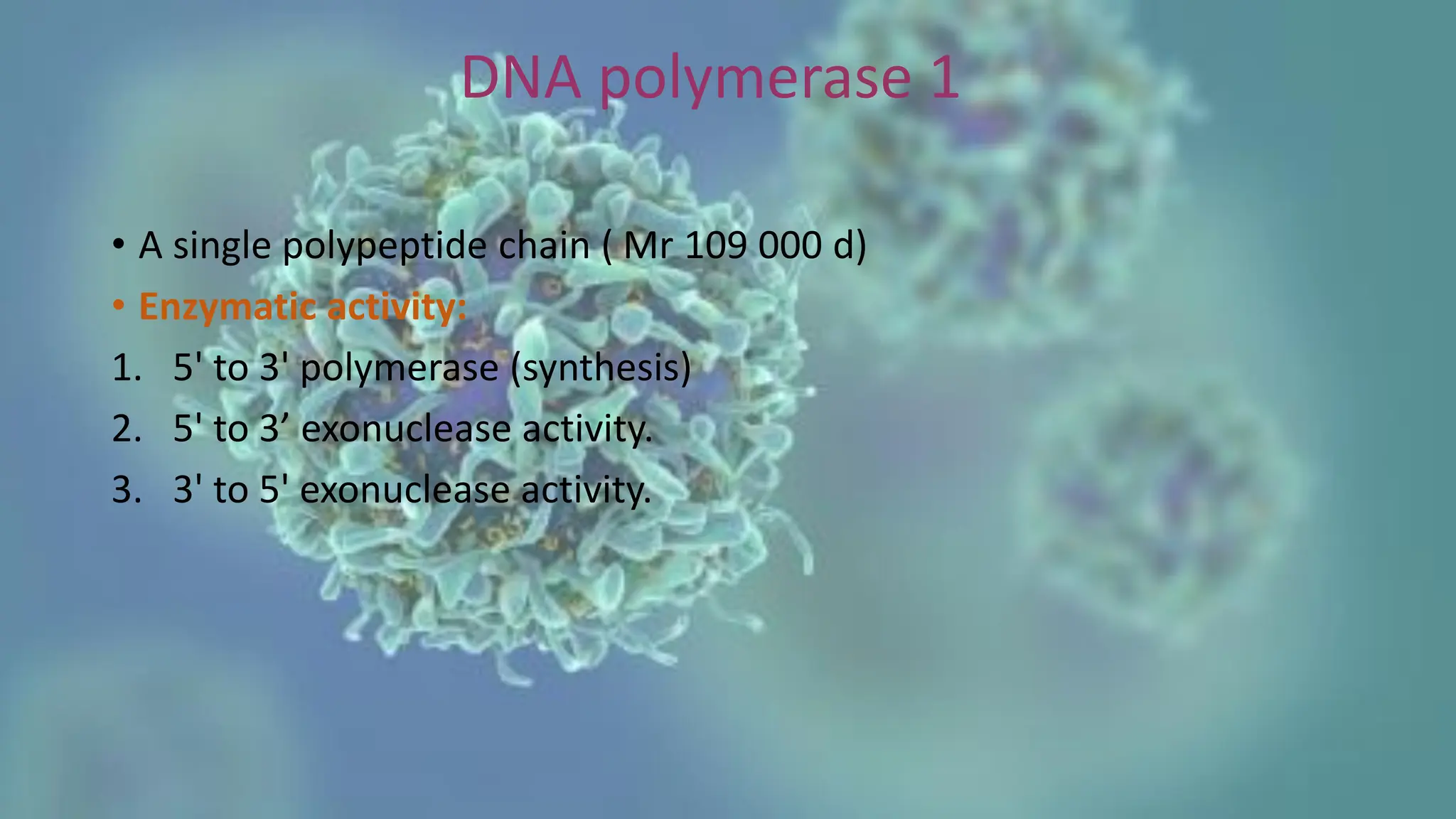 DNA polymerases (DNA manupliation Enzymes).pdf | Chemistry | Science