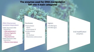 DNA polymerases (DNA manupliation Enzymes).pdf