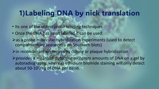 DNA polymerases (DNA manupliation Enzymes).pdf