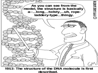 DNA notes REVISED Edition! | PPT