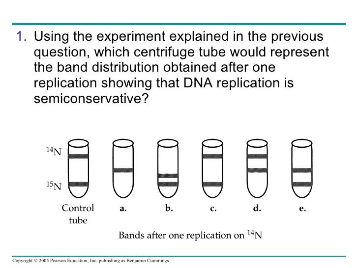 DNA PPT