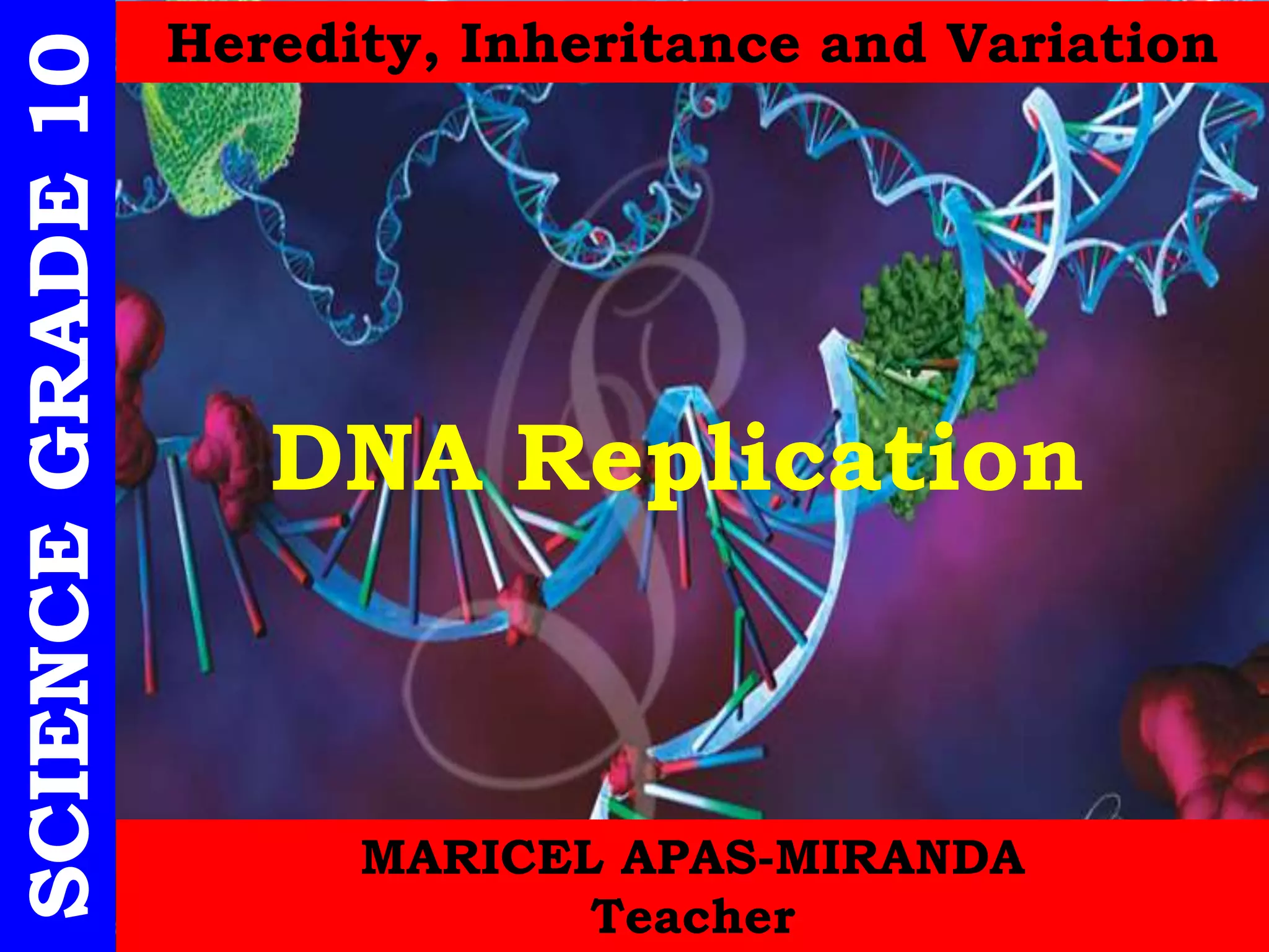 DNA Replication | PPT