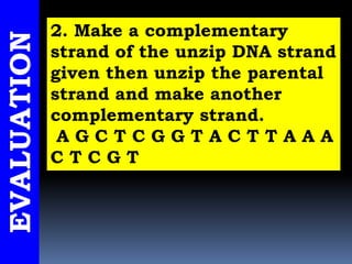 DNA Replication | PPTX