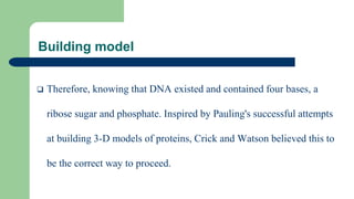 DNA PPT.ppt | Chemistry | Science