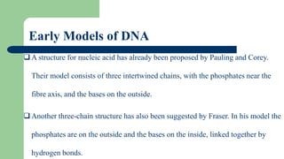 DNA PPT.ppt | Chemistry | Science