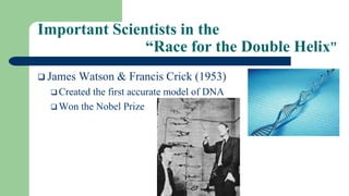 DNA PPT.ppt