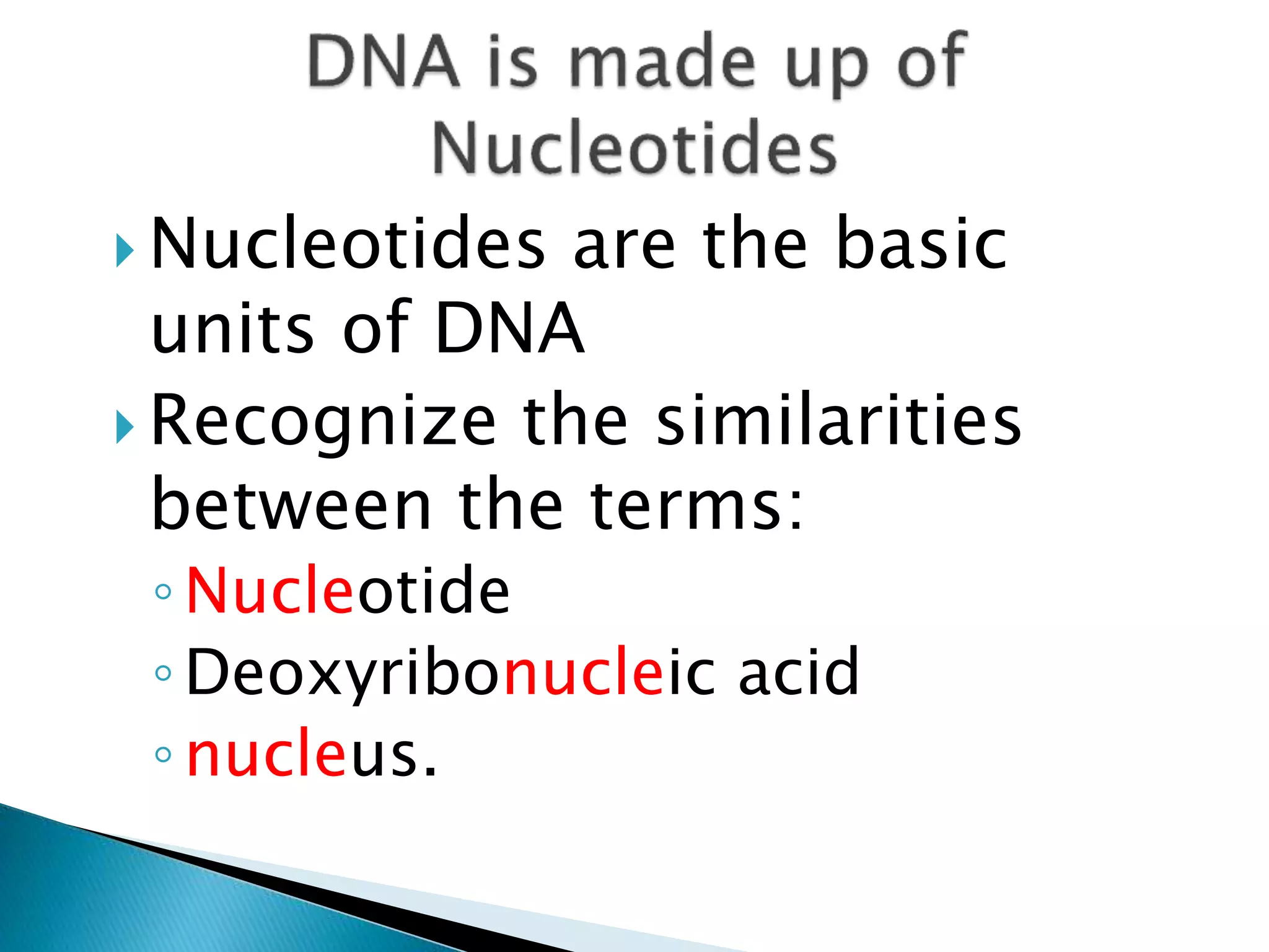 DNA ppt.ppt