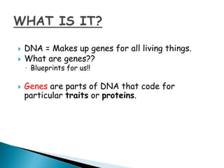 DNA ppt.ppt