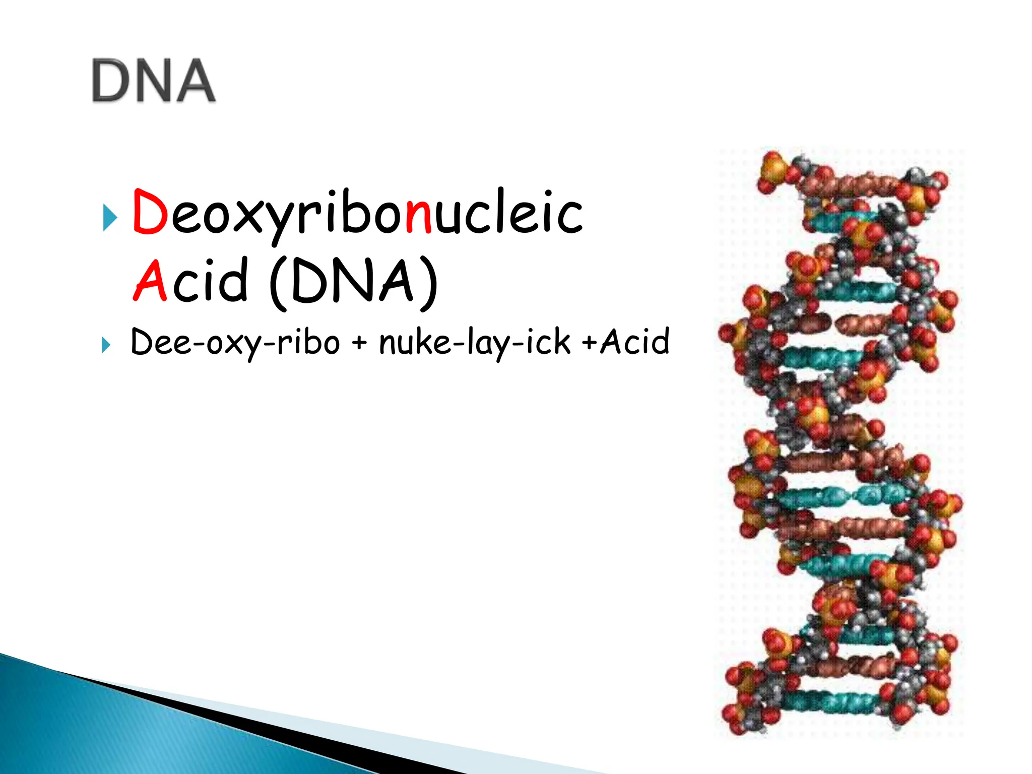 Science 10 Quarter 3; DNA structure ppt. | PPT