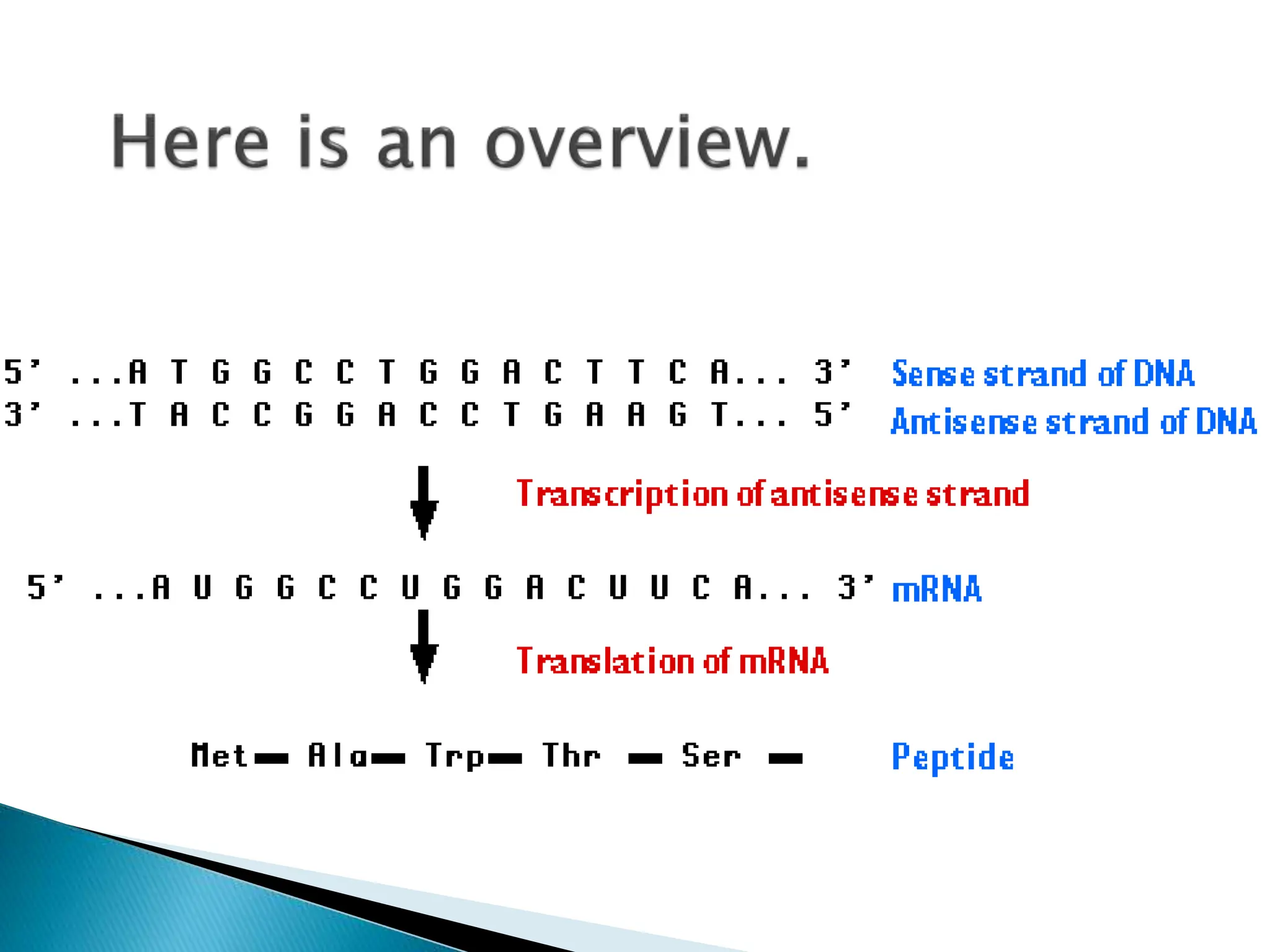 Science 10 Quarter 3; DNA structure ppt. | PPT