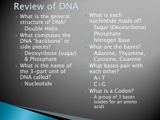 Science 10 Quarter 3; DNA structure ppt. | PPT | Programming Languages ...