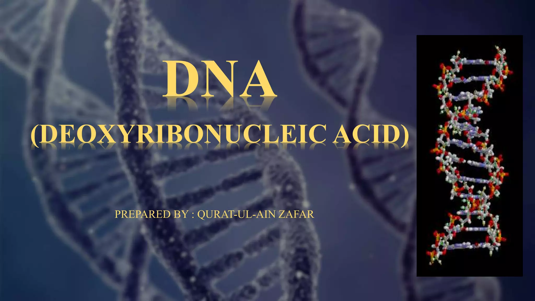 DNa Deoxyribonucleic acid- code of life | PPTX
