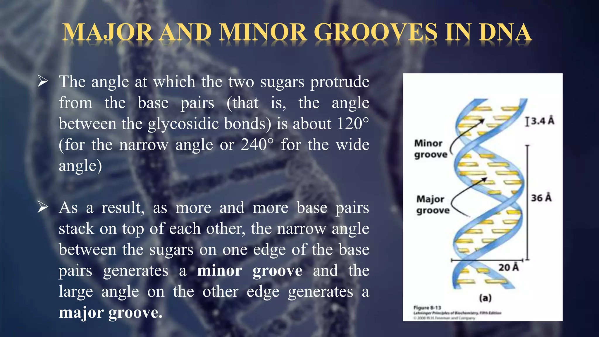 DNa Deoxyribonucleic acid- code of life | PPTX