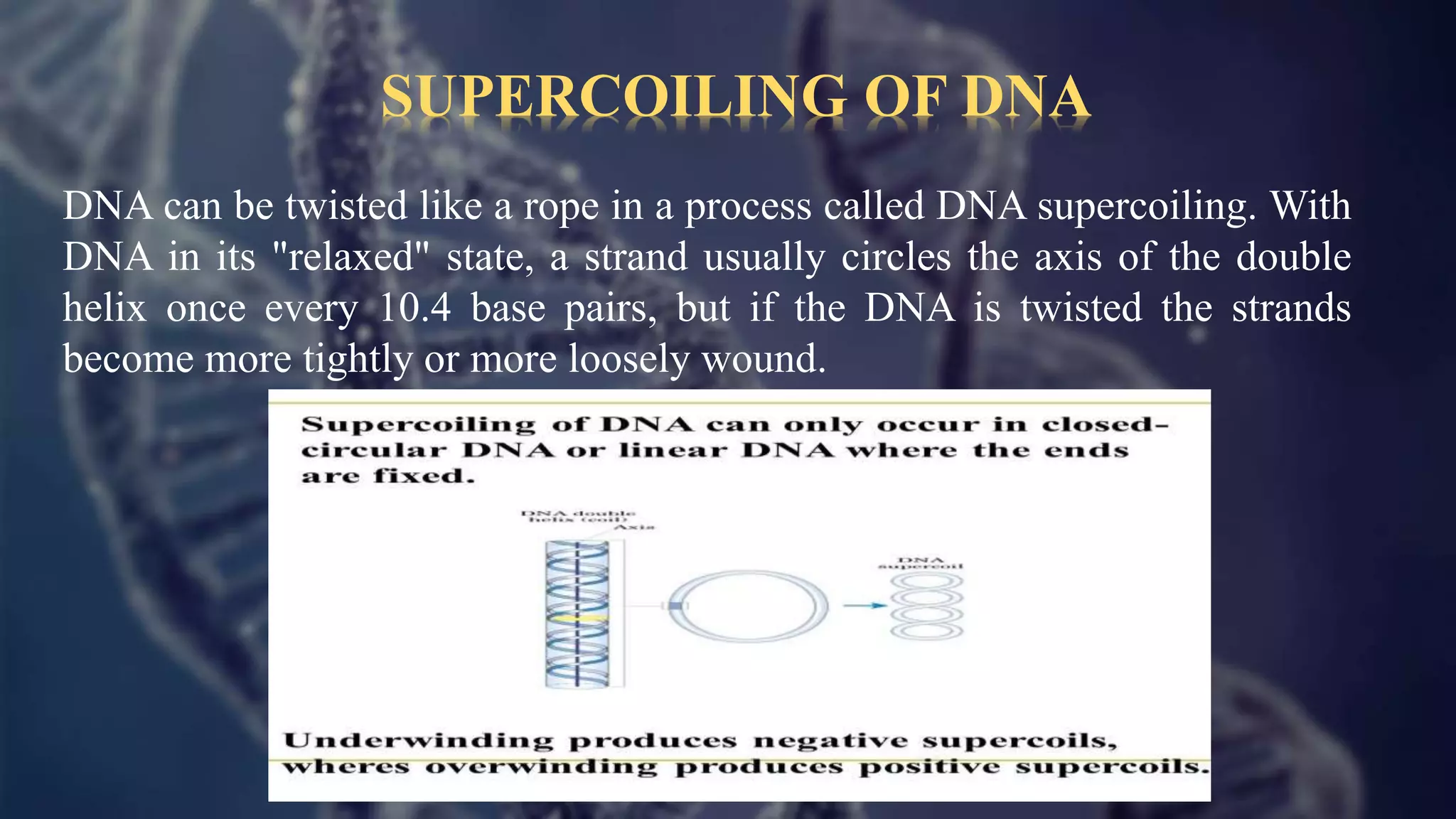 DNa Deoxyribonucleic acid- code of life | PPTX