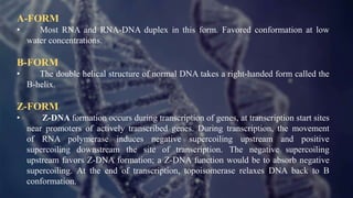 DNa Deoxyribonucleic acid- code of life | PPTX