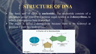 DNa Deoxyribonucleic acid- code of life | PPTX