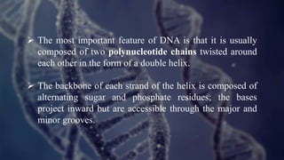 DNa Deoxyribonucleic acid- code of life | PPTX