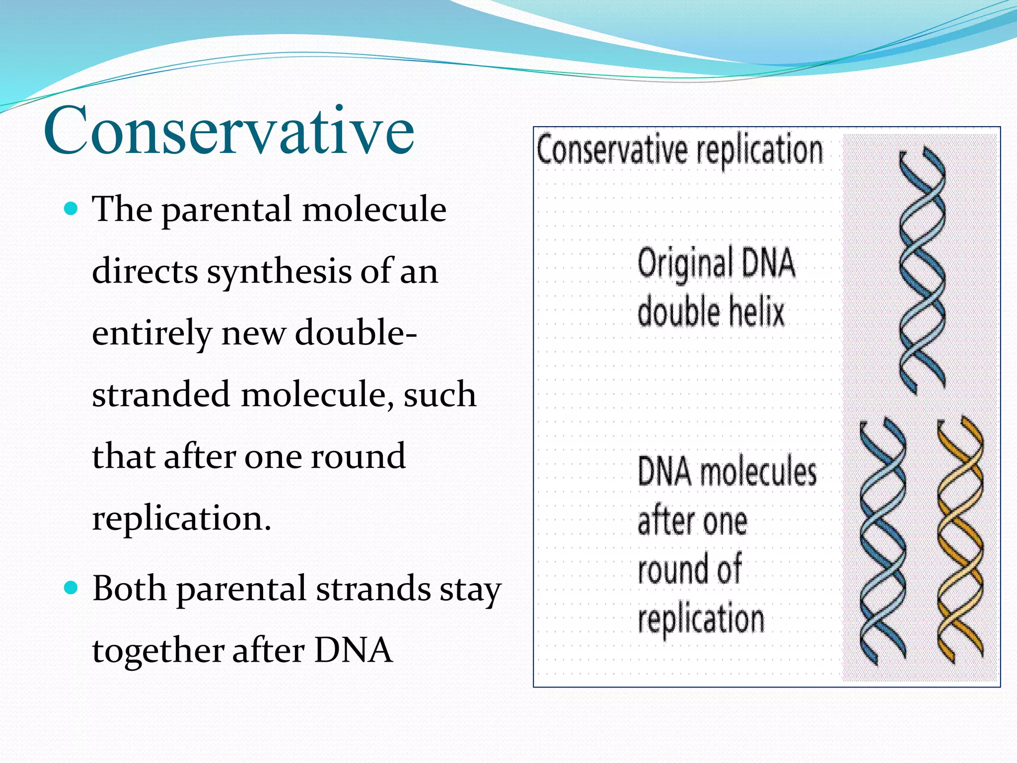 Dna presentation | PPTX