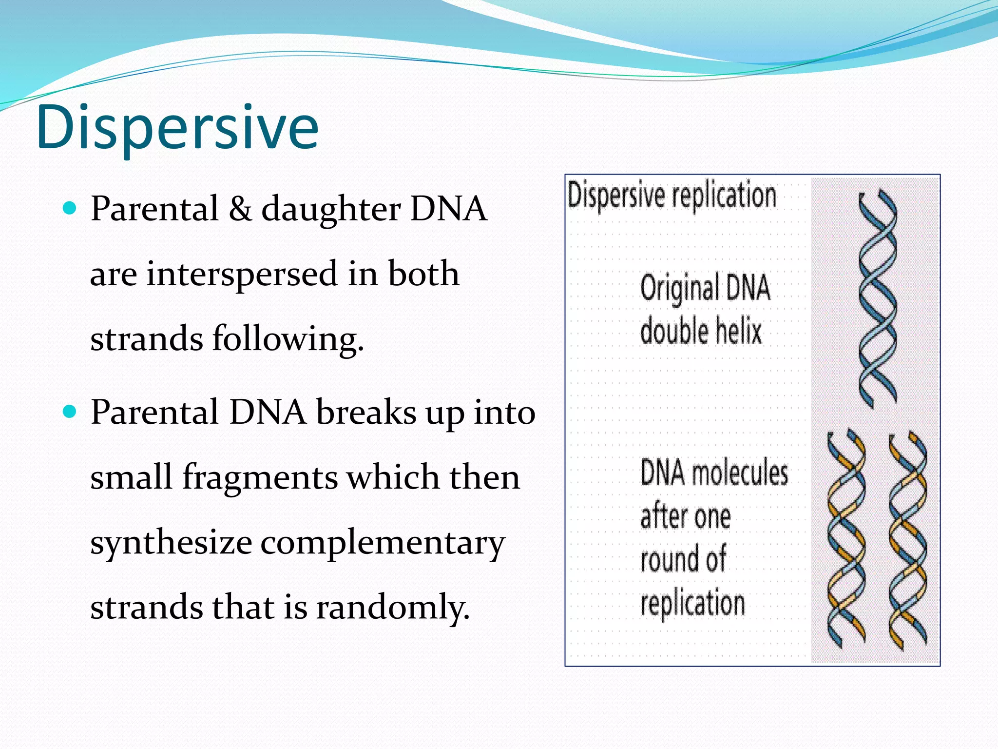Dna presentation | PPTX