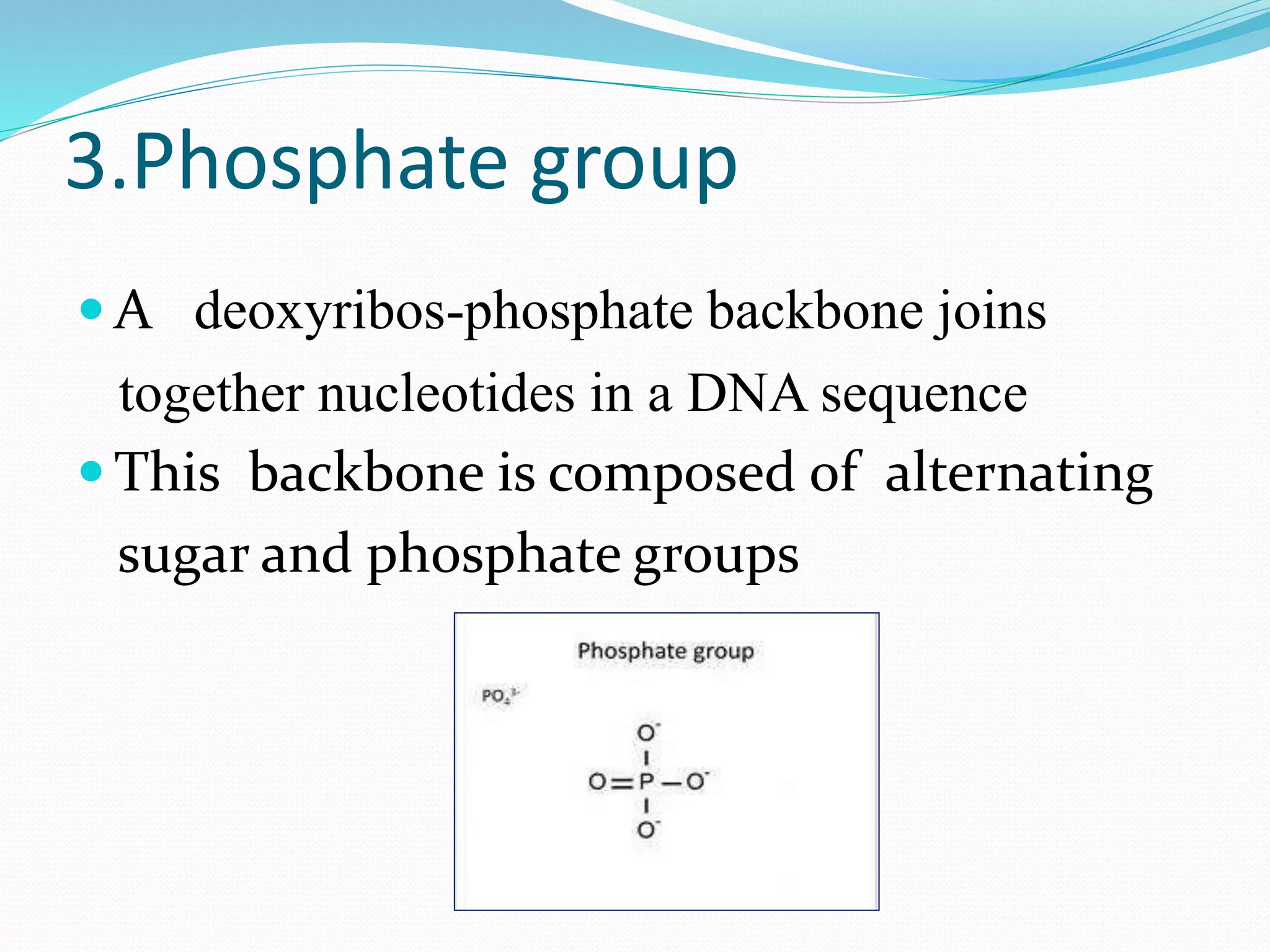 Dna presentation | PPTX