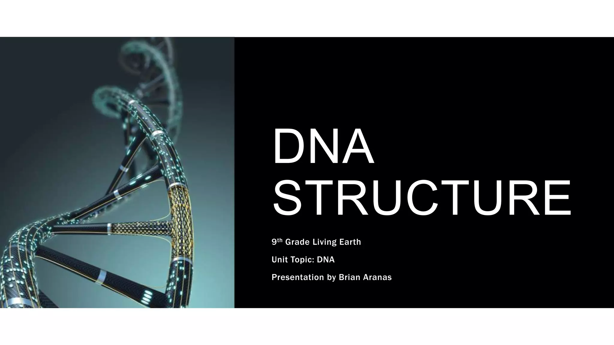 DNA Presentation.pptx