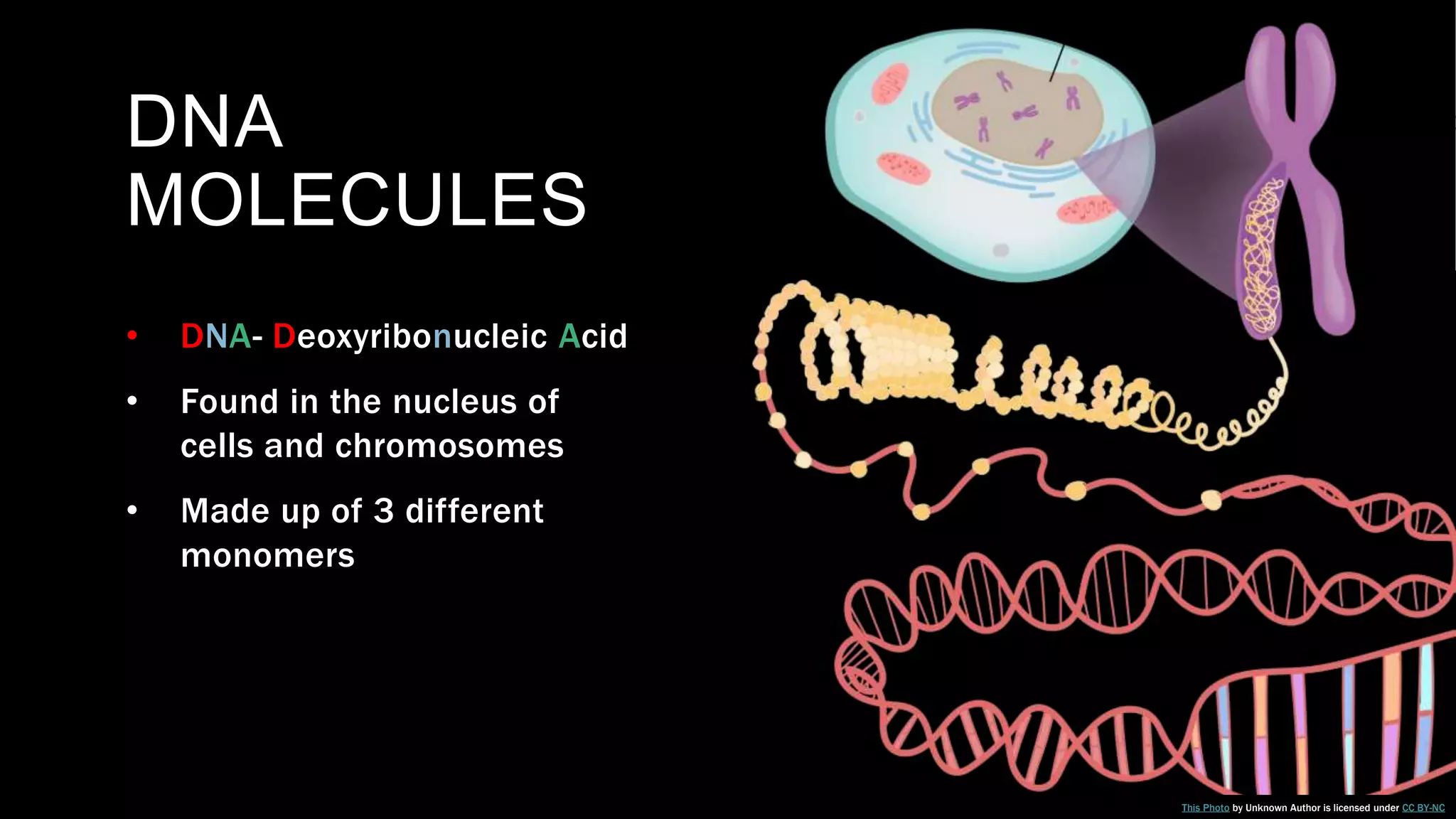DNA Presentation.pptx
