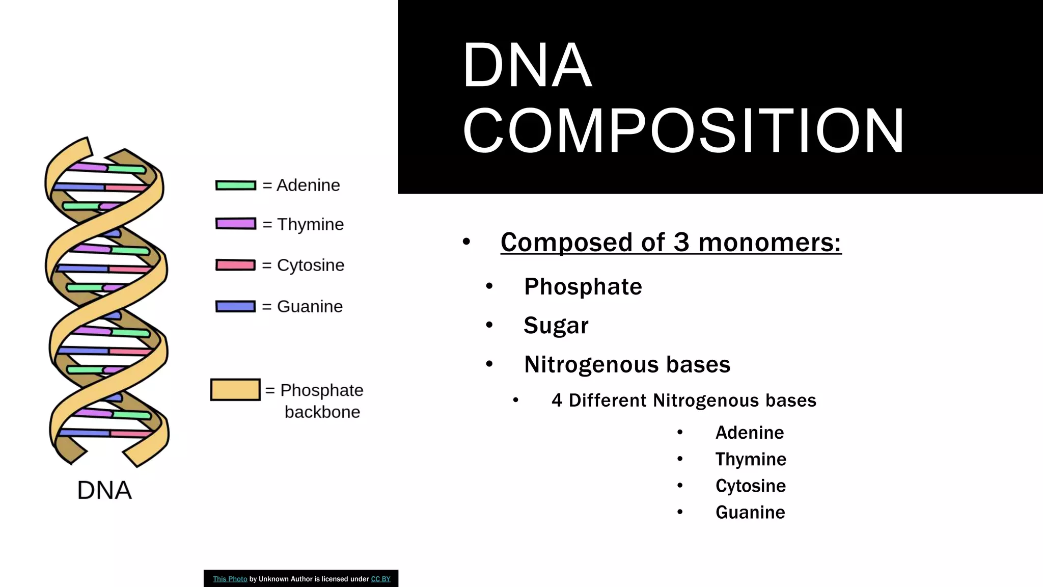 DNA Presentation.pptx