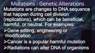 Developing Natural Abilities.pptx