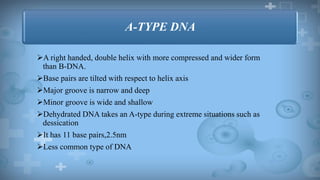 DNA PRESENTATION.pptx
