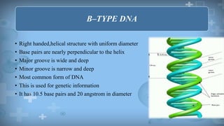 DNA PRESENTATION.pptx