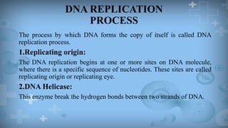DNA PRESENTATION.pptx