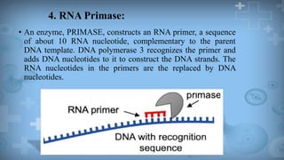 DNA PRESENTATION.pptx