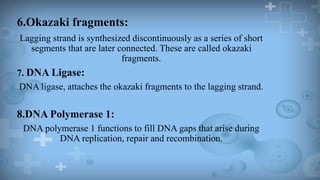 DNA PRESENTATION.pptx